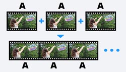 How to Make a Video Loop on Windows - Bandicut
